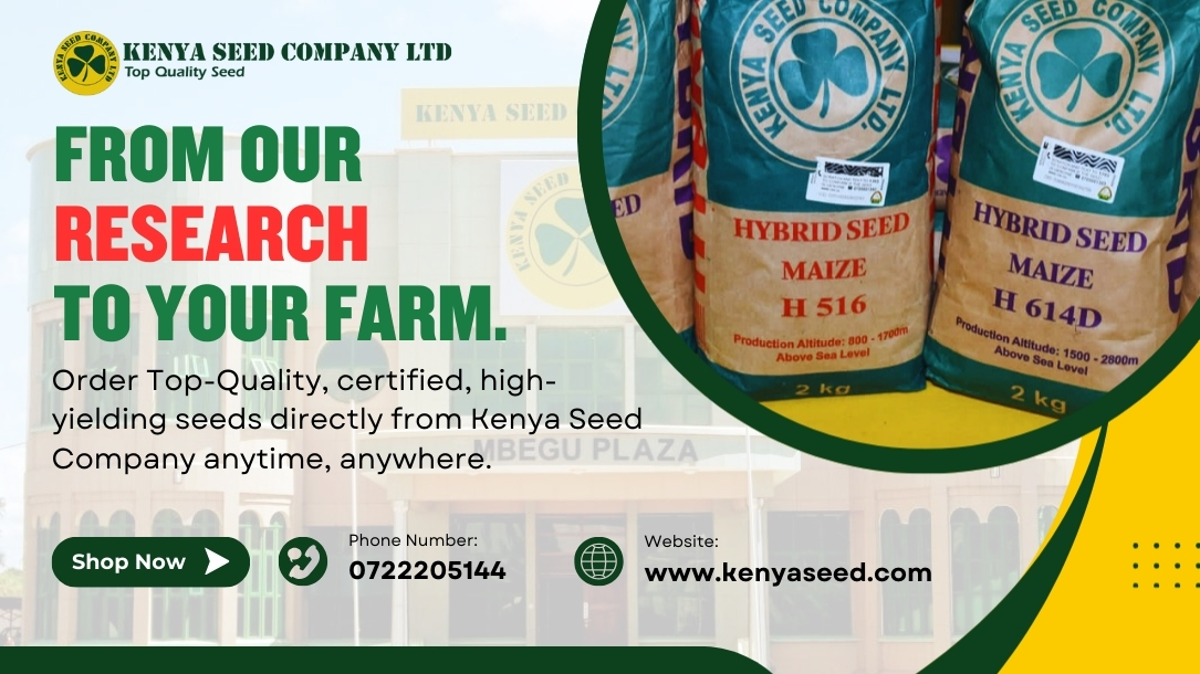 Kenya Seed Company - Quality Seeds & Agricultural Supplies